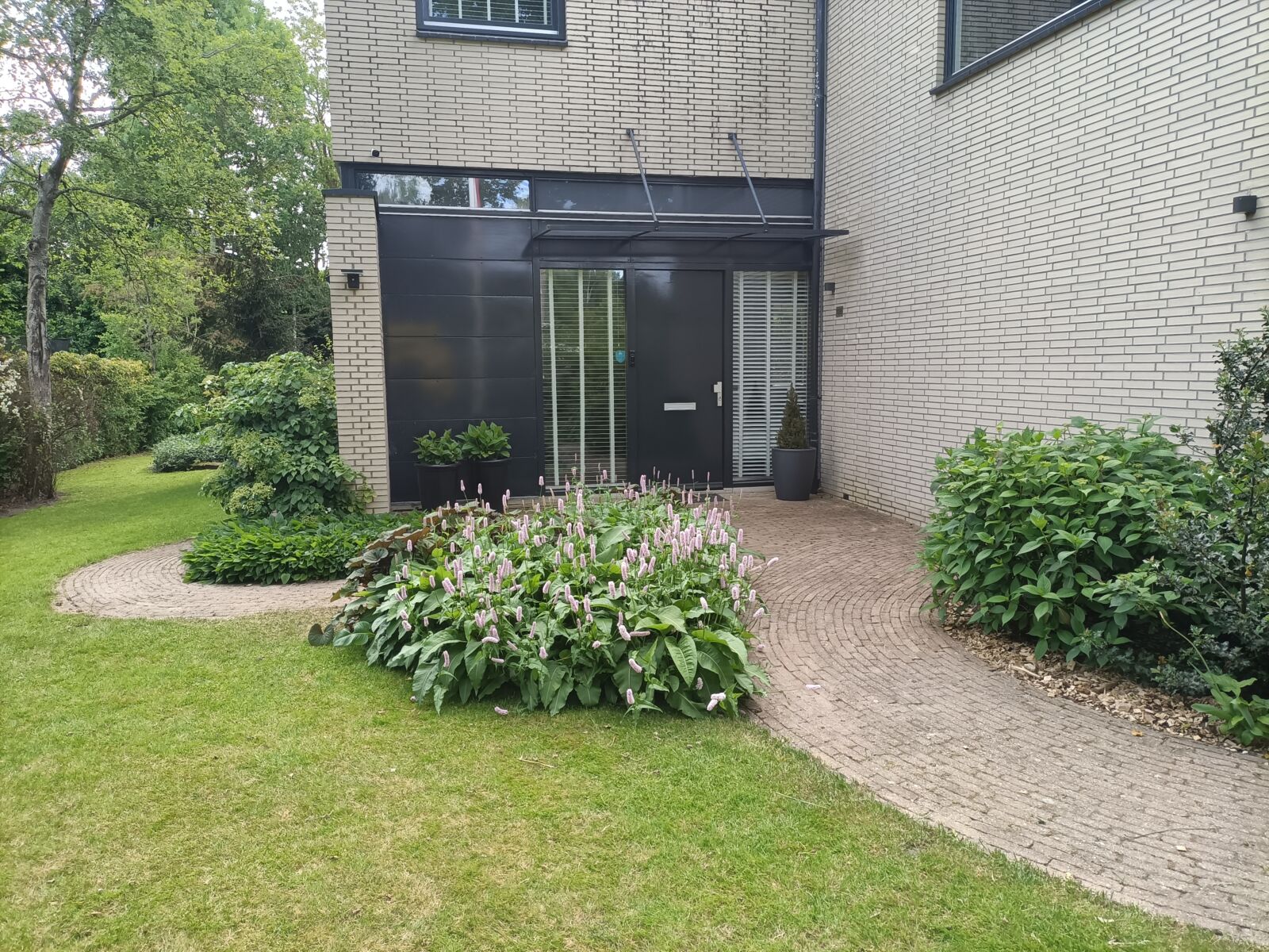 Home - Ishu Hoveniers